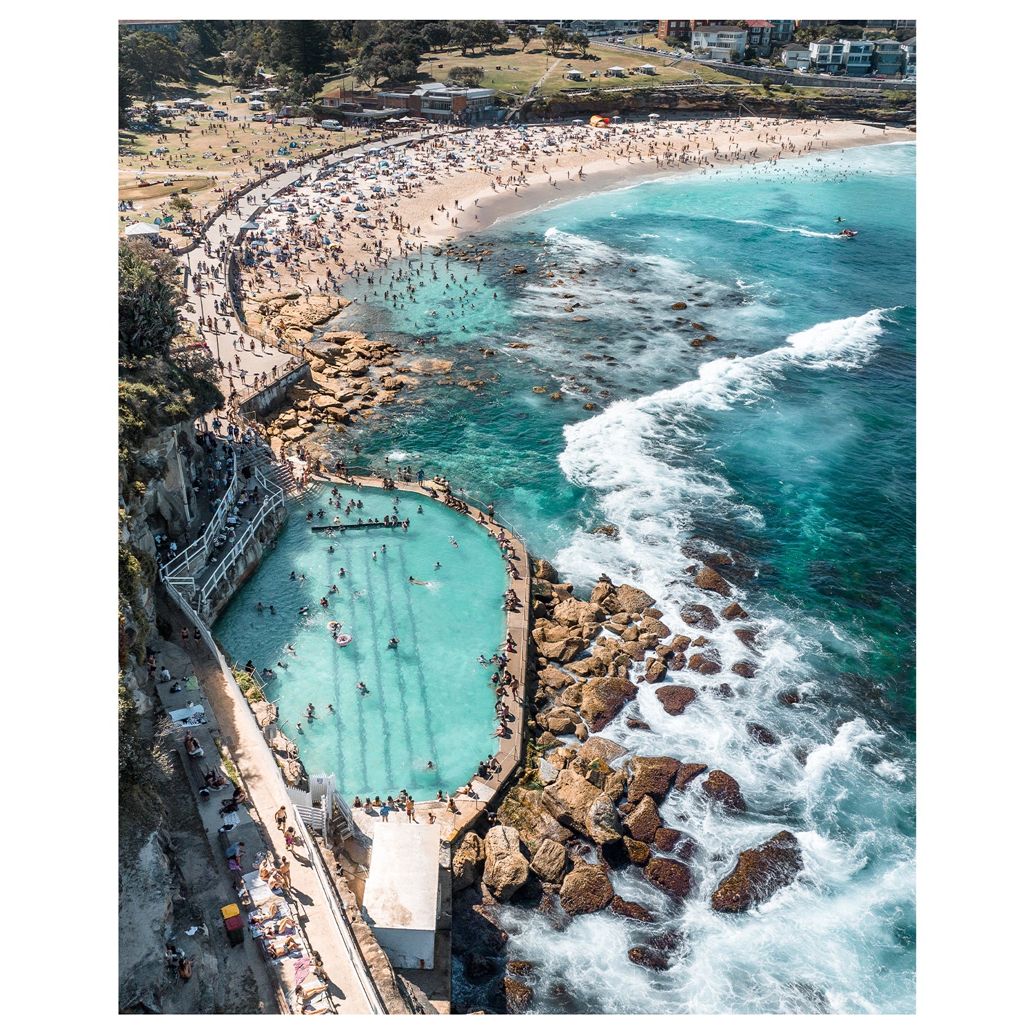 Bronte Buzz Art Print – Through Our Lens