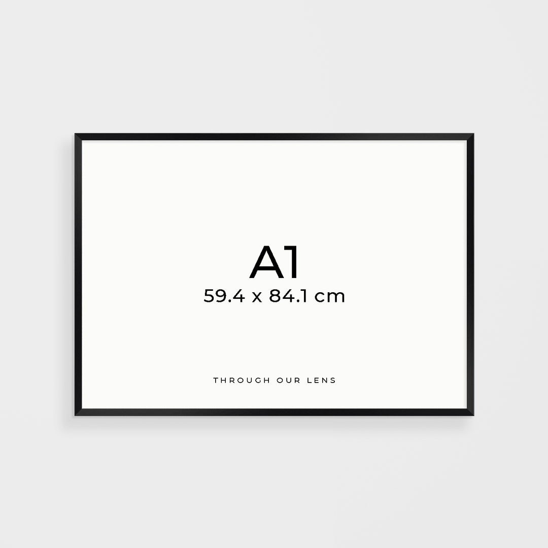 A1 DIY Timber Frame– Through Our Lens