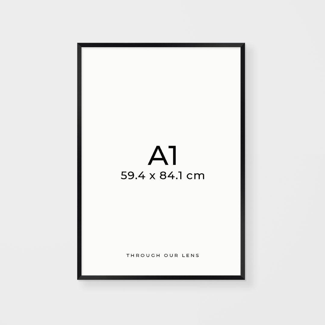 A1 DIY Timber Frame– Through Our Lens