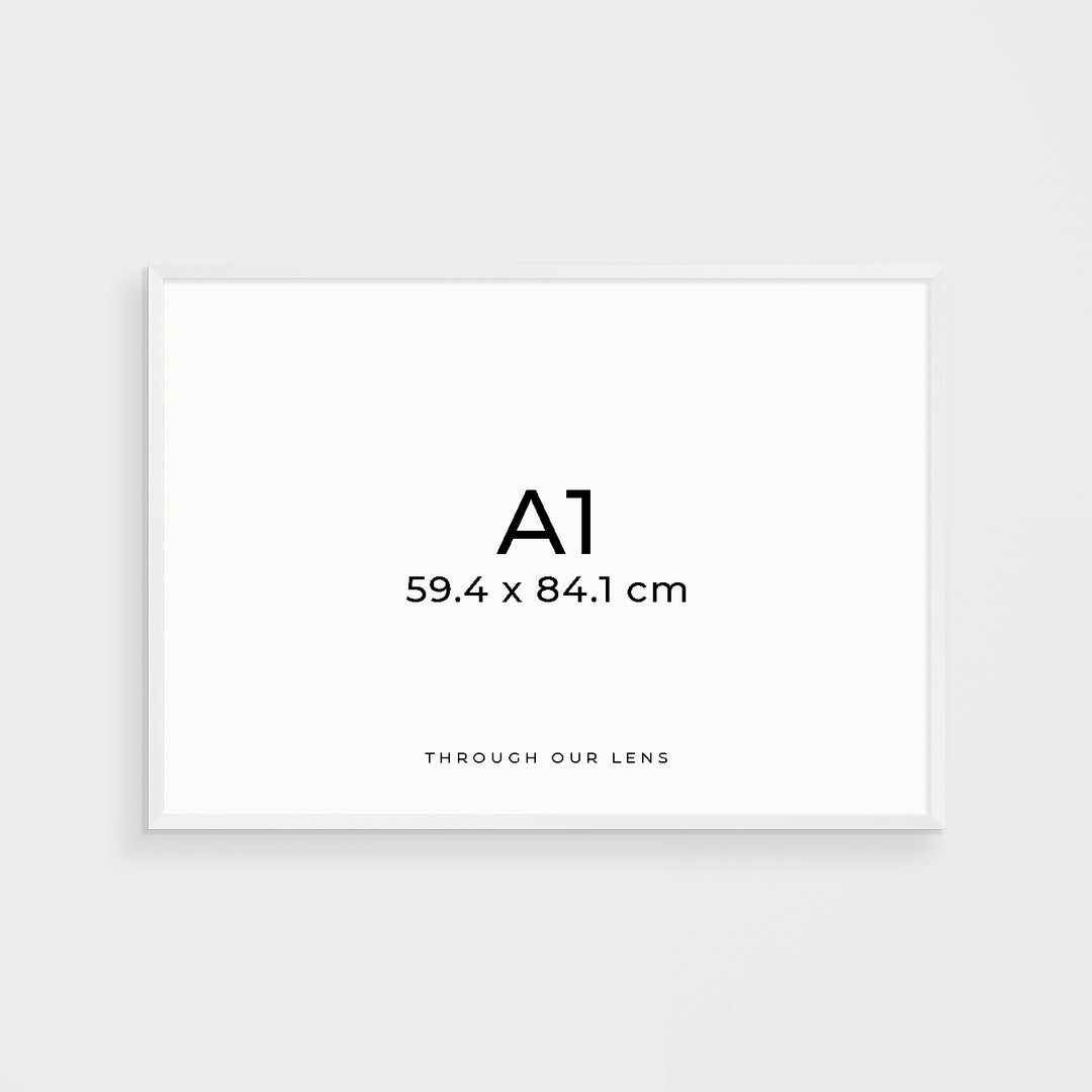 A1 DIY Timber Frame– Through Our Lens