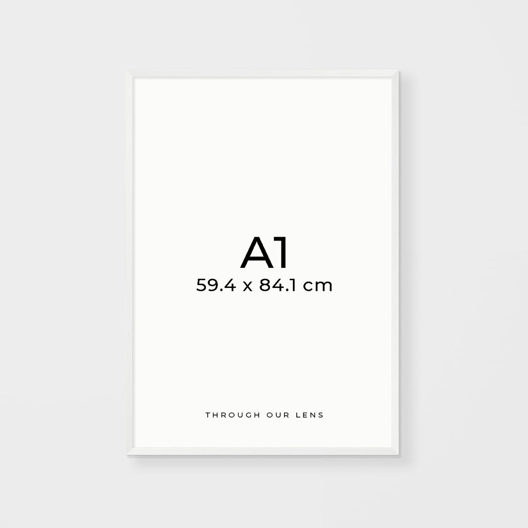 A1 DIY Timber Frame– Through Our Lens