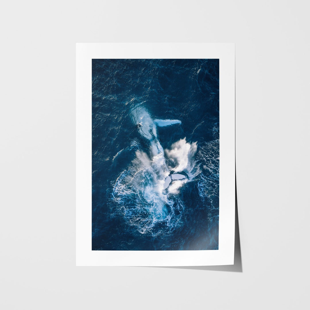 The Humpback Whale Tail Flap Art Print– Through Our Lens